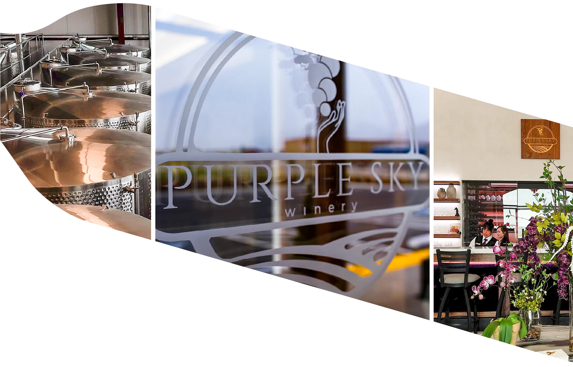 Raise a Glass to the Unexpected | Purple Sky Winery